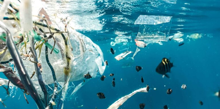 Microplastics in Cosmetics Products | Taobe Consulting